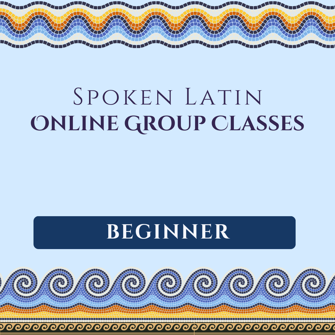 Beginner Zoom Classes The Mellarium